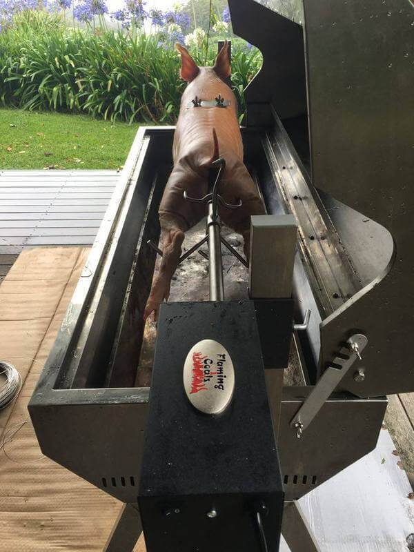 Heavy Duty Spit Roast Motor- 60kg - Flaming Coals - Spit Roasters Australia