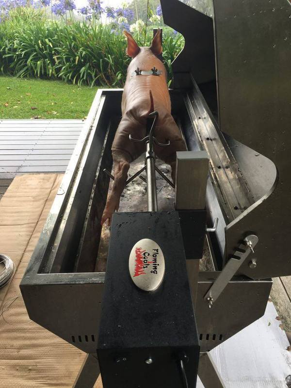 1500 Stainless Steel Hooded Spartan Spit Roaster - Spit Roasters Australia